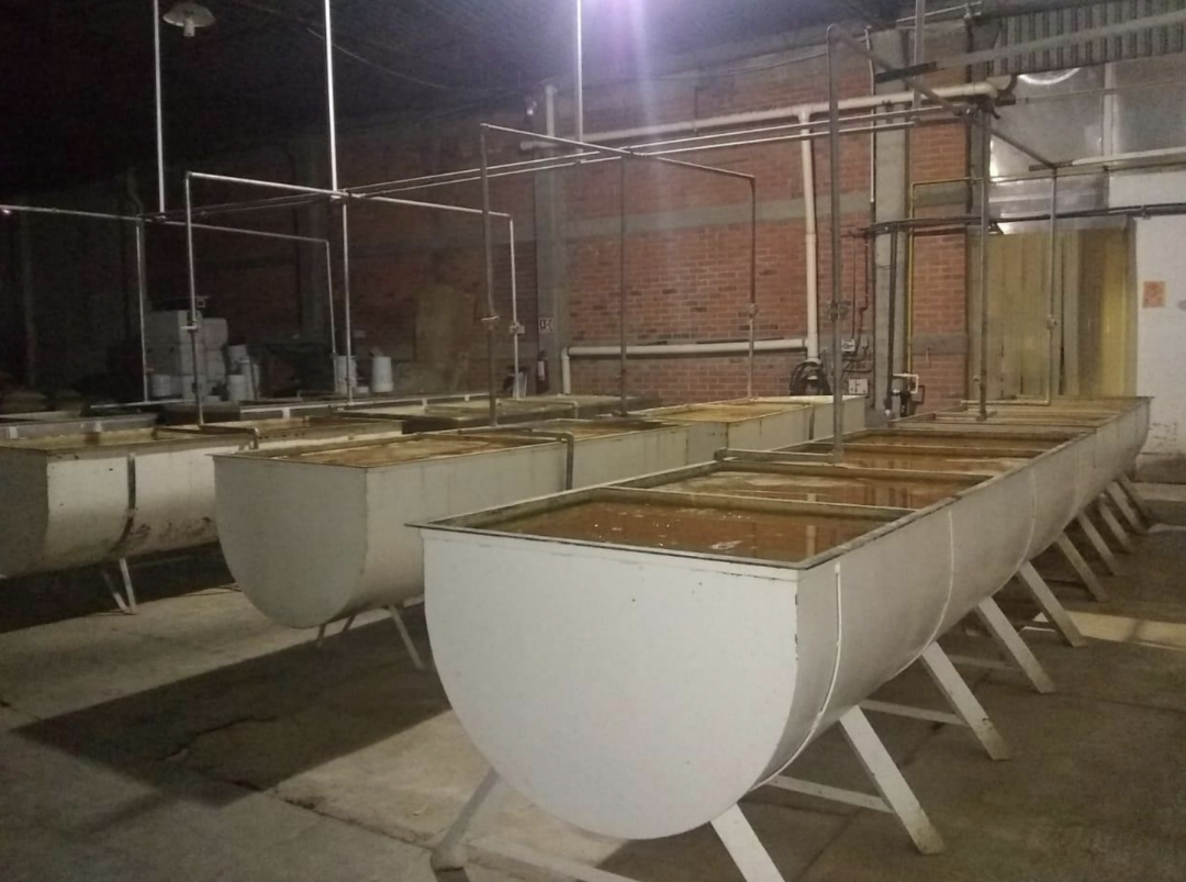 ¿Qué es la Nixtamalización? - Tortillas Don Pon